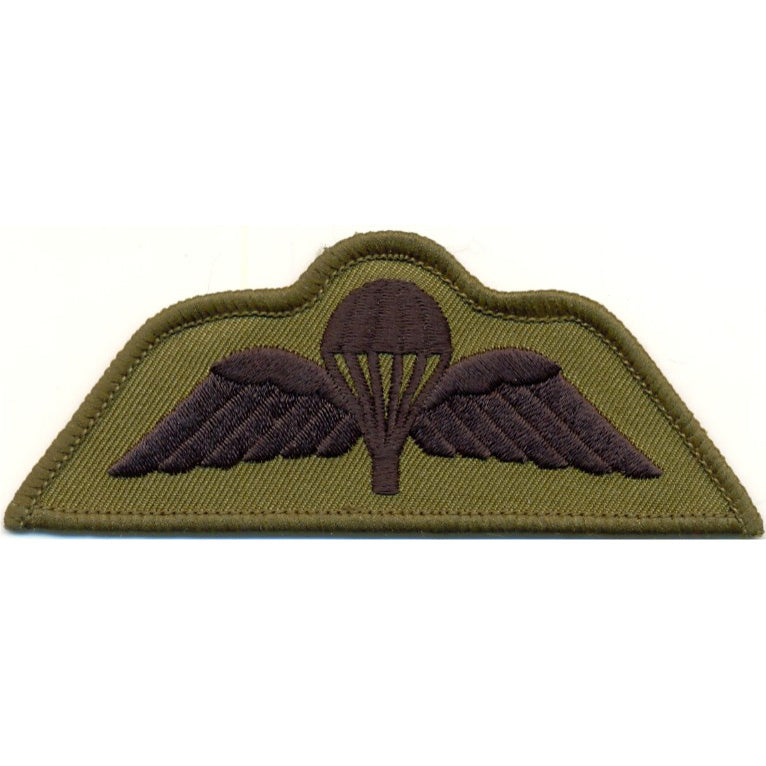 Badge - Para Wings - Black on Olive (subdued) - Pair – AAC Store